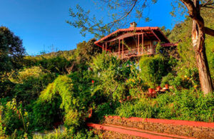 Pangot Village Nainital | Jungle Lore Birding Lodge | Pangot Hotels